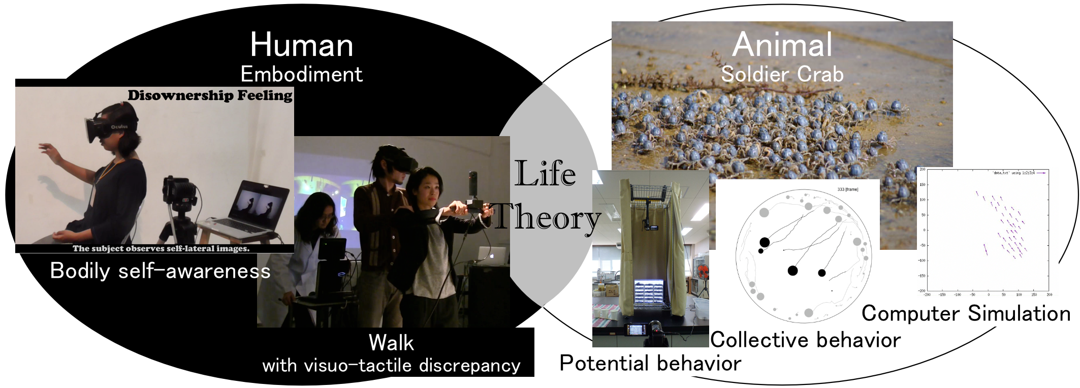 Theoretical Life Science Laboratory Laboratories Nagaoka University Of 